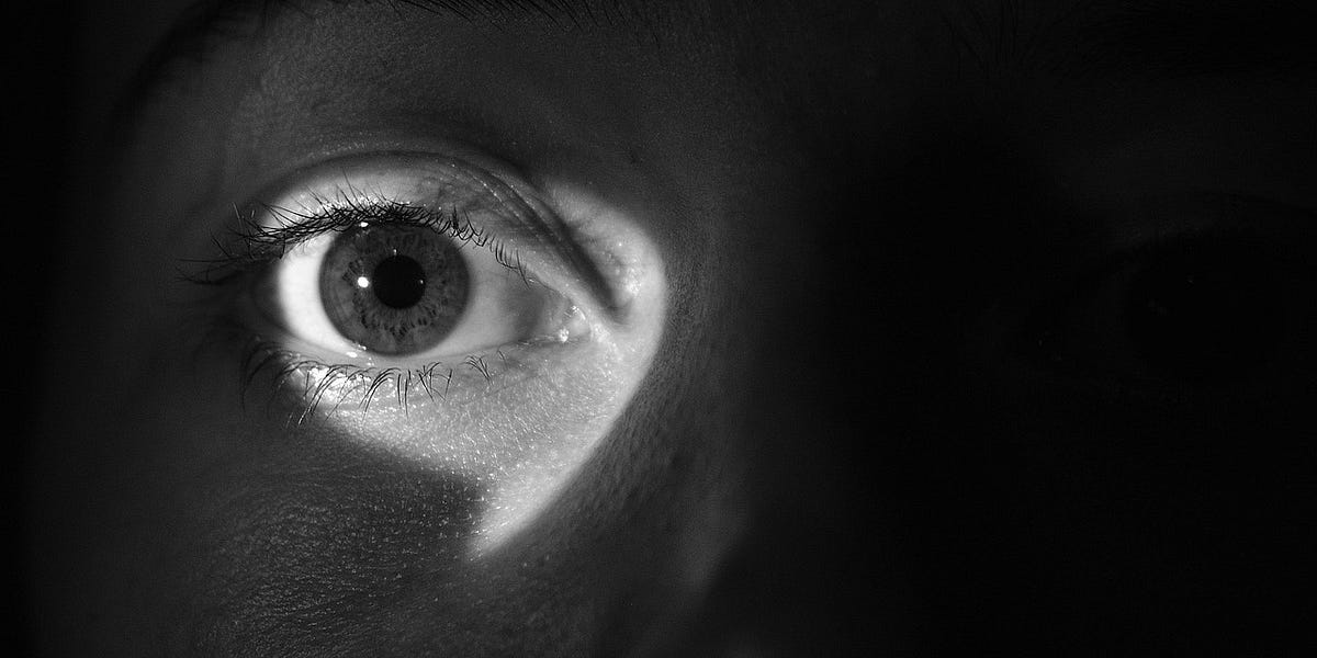 Facing the Shadow - by John van de Laar