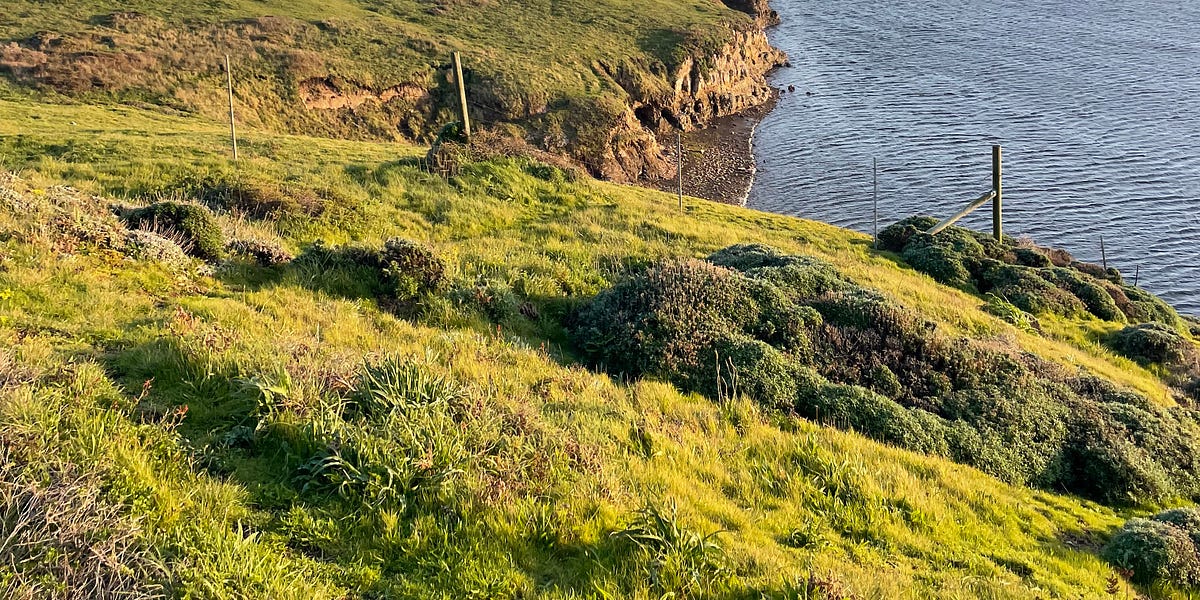 BREAKING: House Republicans Launch Investigation Into Point Reyes Ranch ...