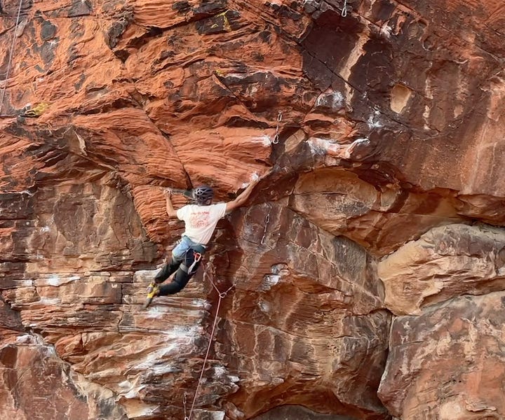 my fourteen projecting 'defaults' - by Tim Casasola