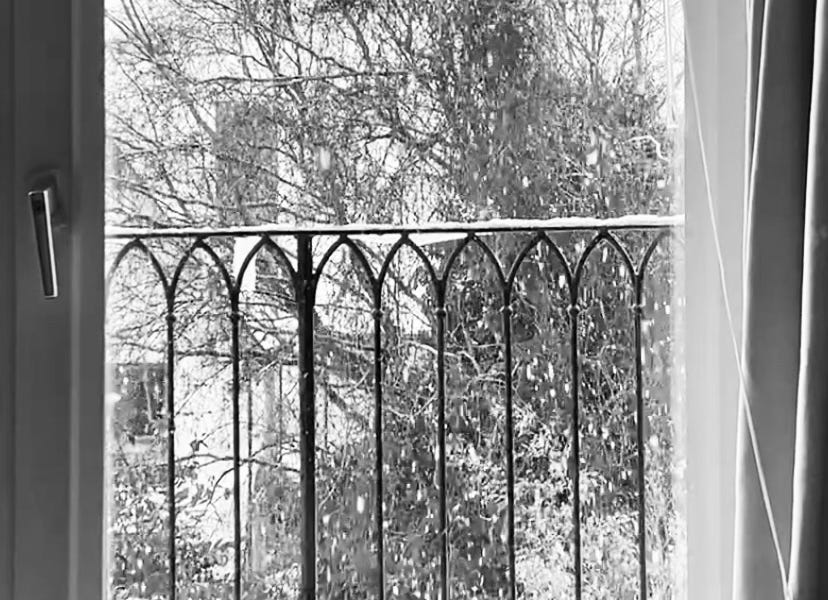 what lets the light in? - by Nina Tree - Nina’s Substack