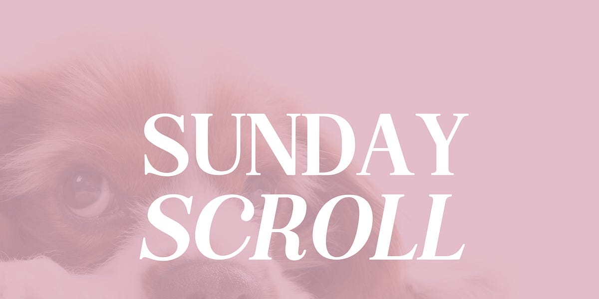 Sunday Scroll #2 - Emily Ley’s Substack