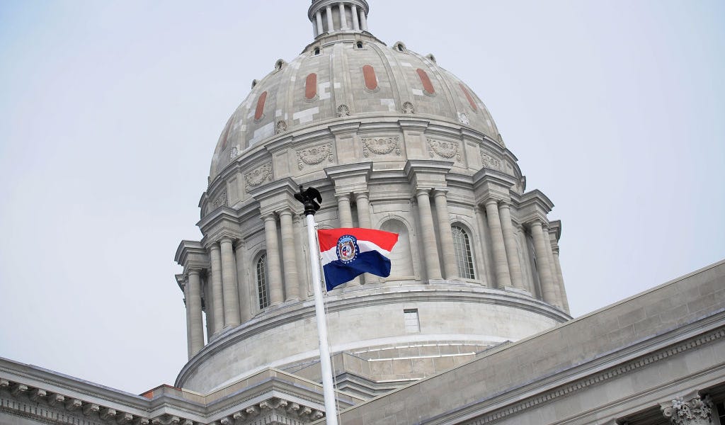 Dingus of the Week: Missouri State Rep. Anne Kelly - by lyz