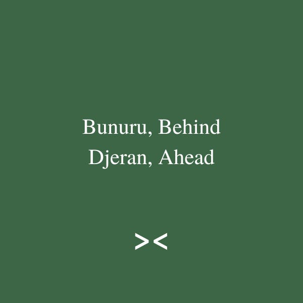 Bunuru, Behind | Djeran, Ahead - by Bianca Breen - Manifest