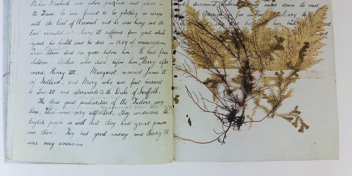 Beatrix Potter's Naturalist Notes - by Jillian Hess - Noted