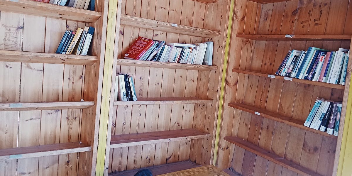 Empty Book Swap Shelves - by Adina Horwich