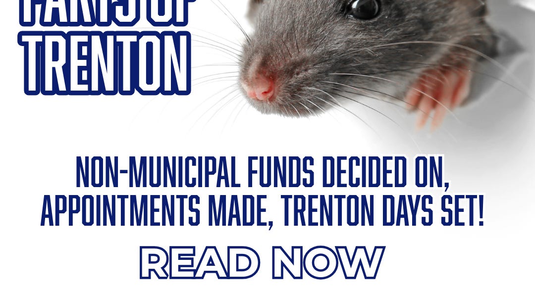 Rats Infest Parts of Trenton - by Carrie Jones
