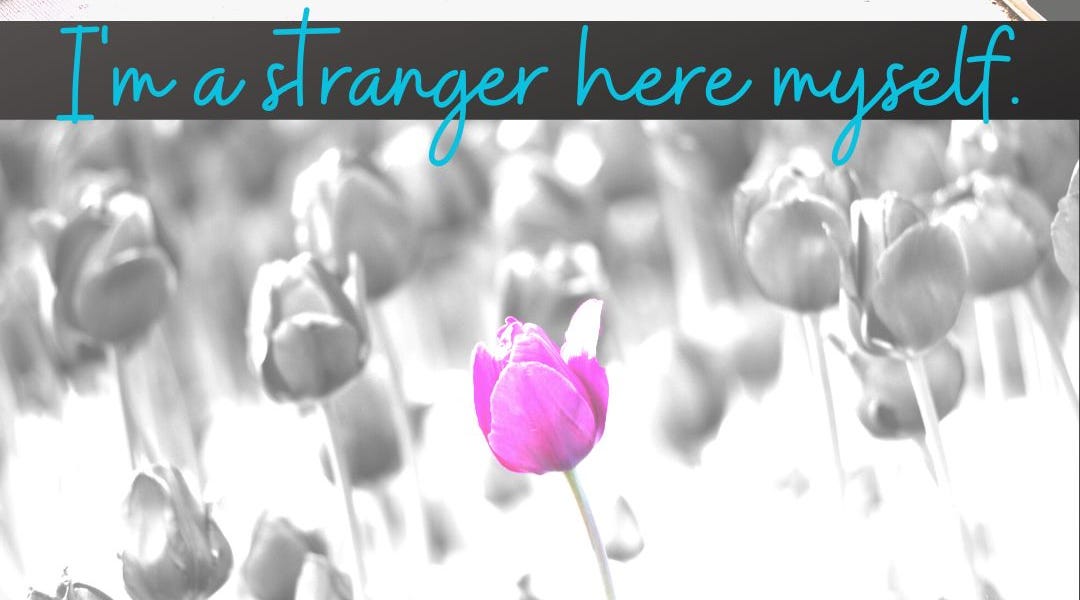 I'm a Stranger Here Myself - Tyrean Martinson, Author