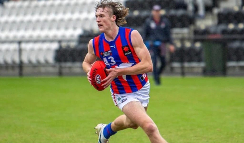 The rise and rise of Josh Weddle - by Daniel Prins