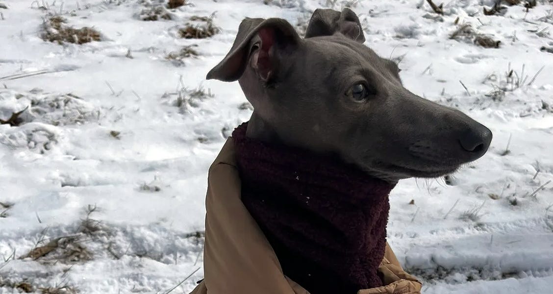 A Saucy Sunday - by Brian Pritchett - Not That You Asked