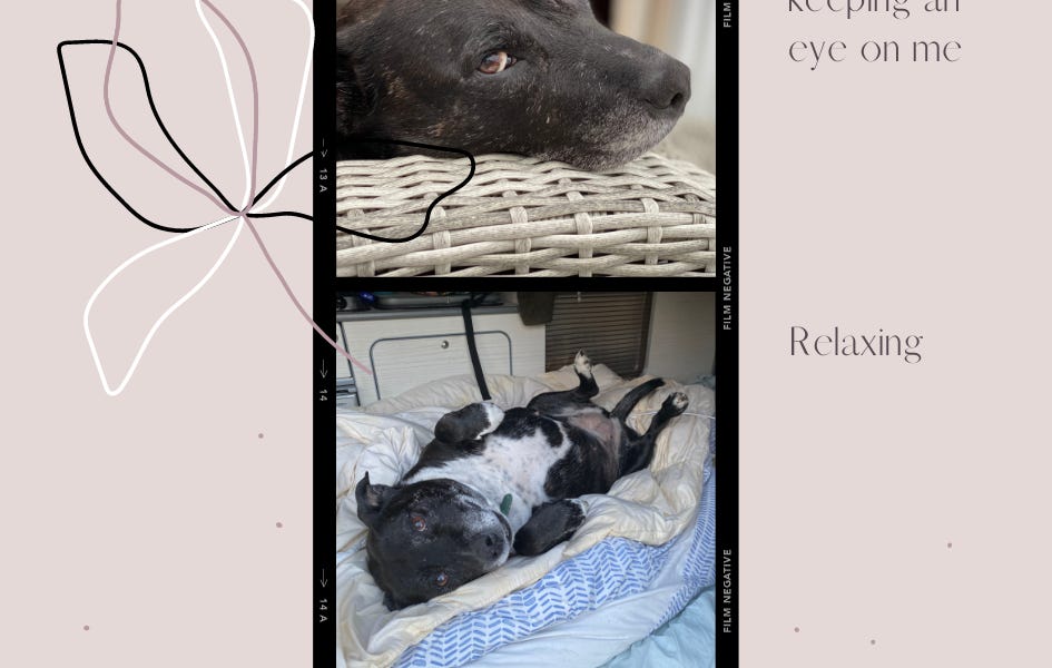 Saying goodbye and letting go - Cronehood by Issy Harvey