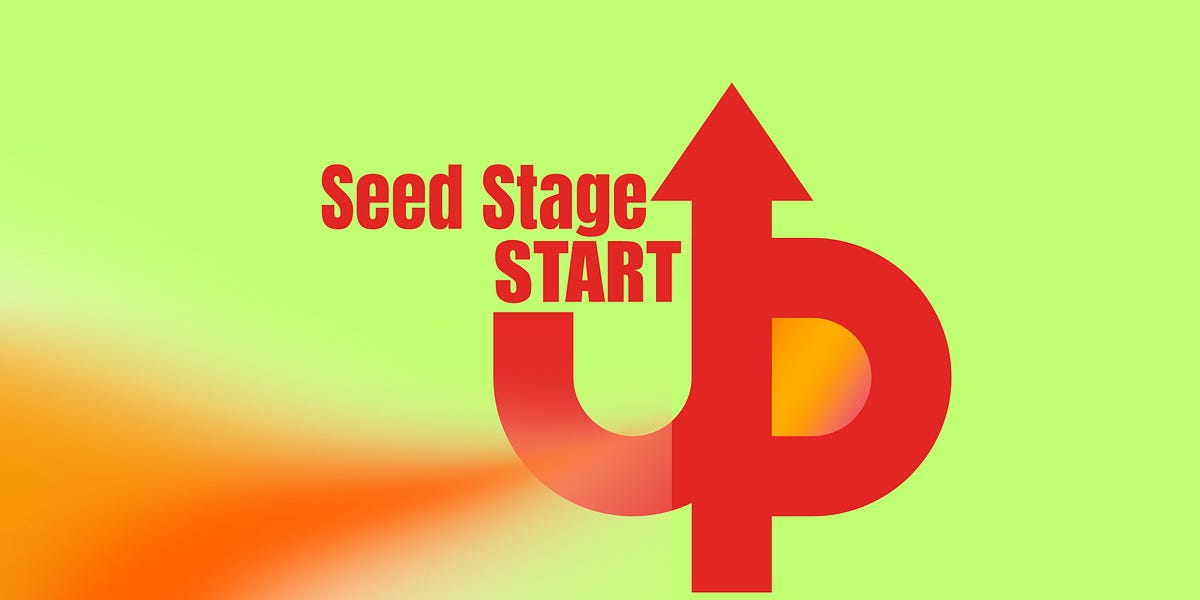 Mastering the Art of Pitching Your Seed Stage Startup
