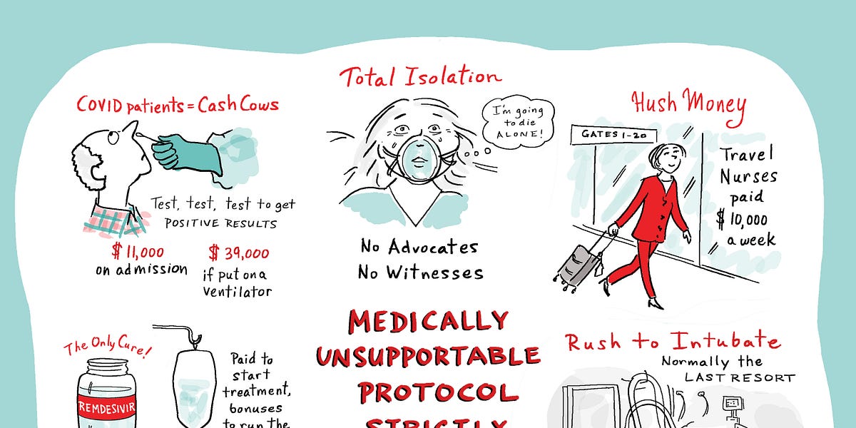 WHAT THE NURSES SAW - by Anne Gibbons