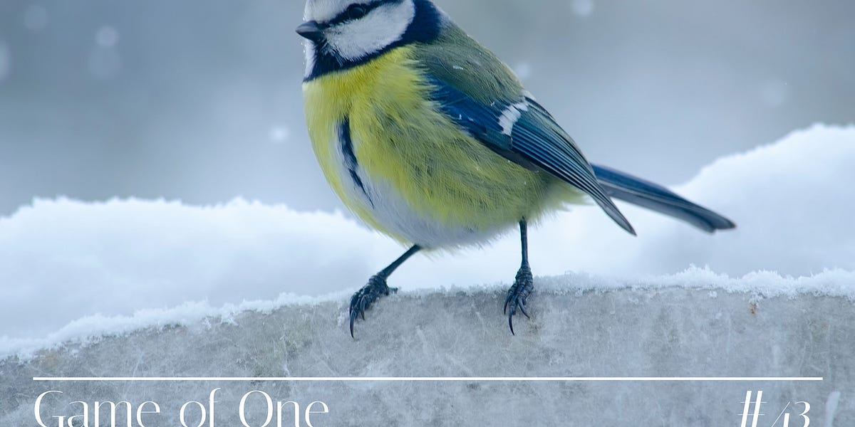 #43: Reverse Snowbird: my version of Seasonal Living 🐦