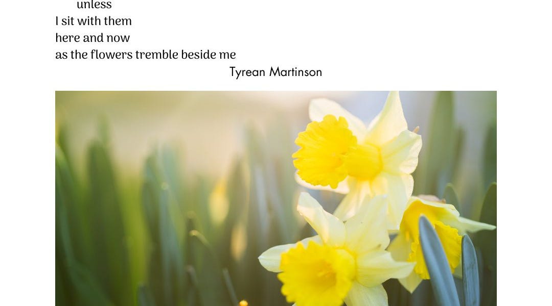 April 1 - Tyrean Martinson, Author