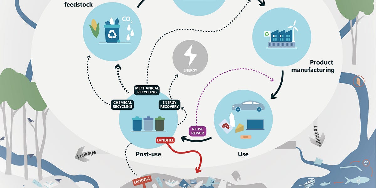 The Life Cycle of a Plastic Bottle: From Creation to Pollution