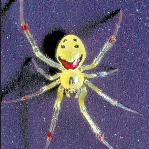 8-Word Spider Story Contest Winners and Finalists!