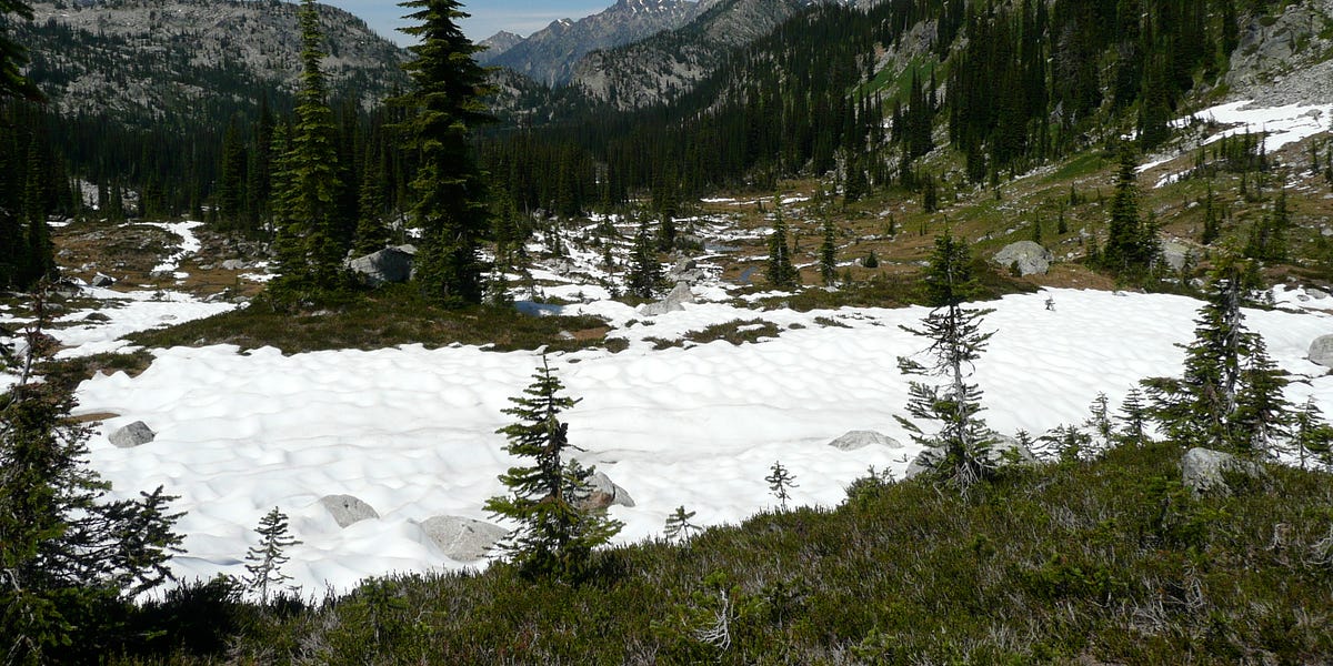 Time for Reflection - by Diana van Eyk - Diana’s Substack