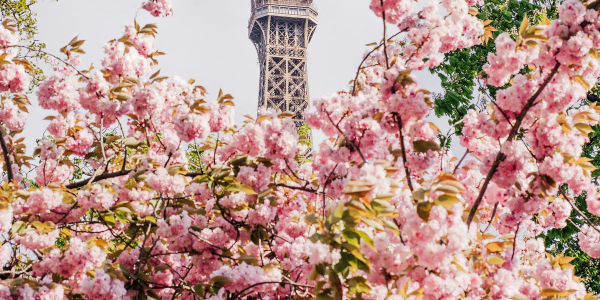 Paris In The Spring When Pale Residents Morph Into The Coolest People ...