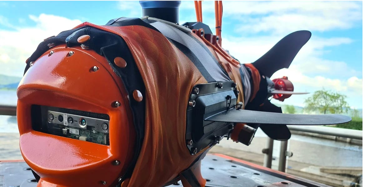 4th Edition - by Delaney Demark - Seaking Blue