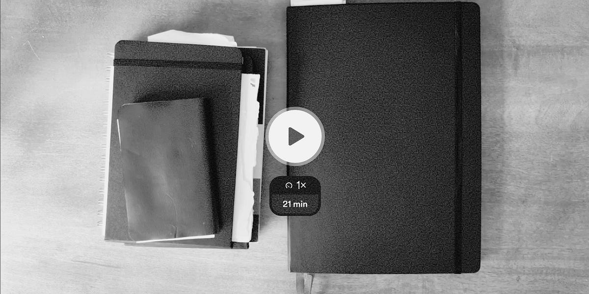 Inside my sketchbook pages - Lauren Sauder