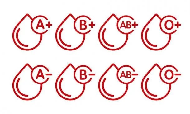 Neanderthals and the Blood Connection: Could Their Rh Factor Have ...