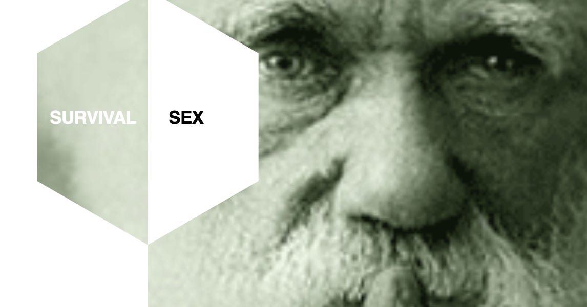 Introduction to Men's Psychology - by Dr. Paul