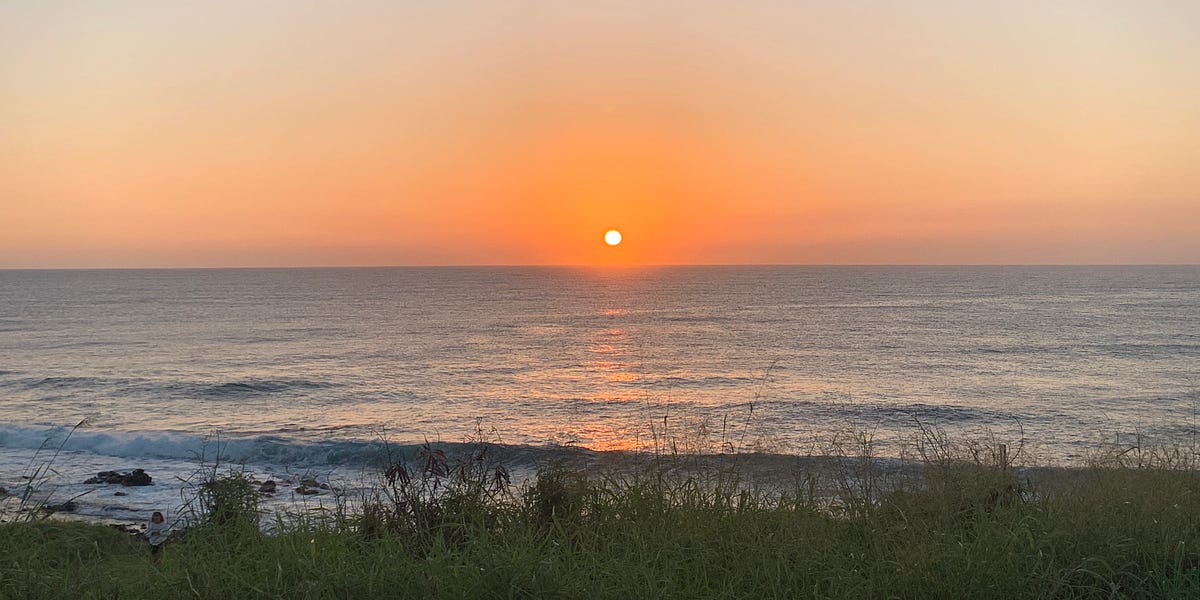 Come Again? What Was That? - by Lila Danielle