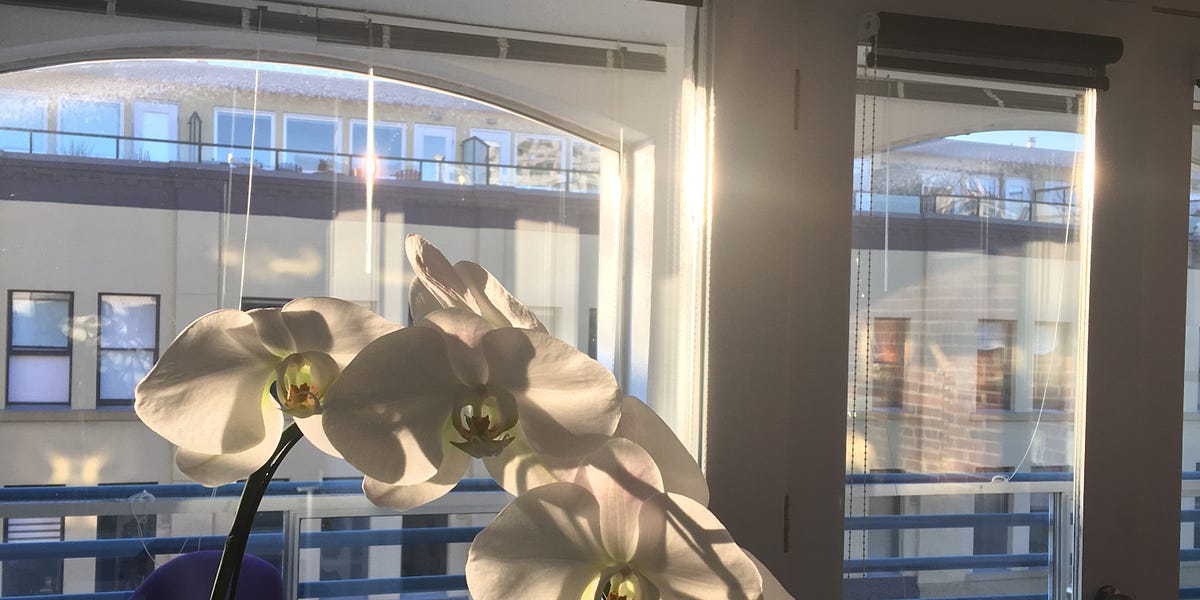 The Late Watch - by Russell C. Smith - The New Now