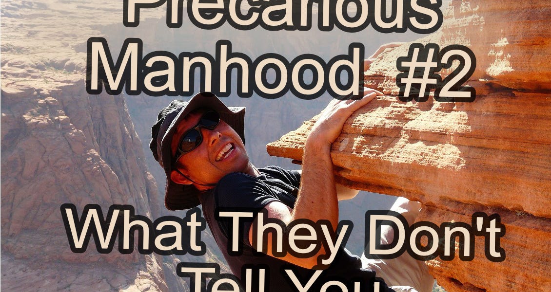 Understanding Men #6: Precarious Manhood #2 - by Tom Golden