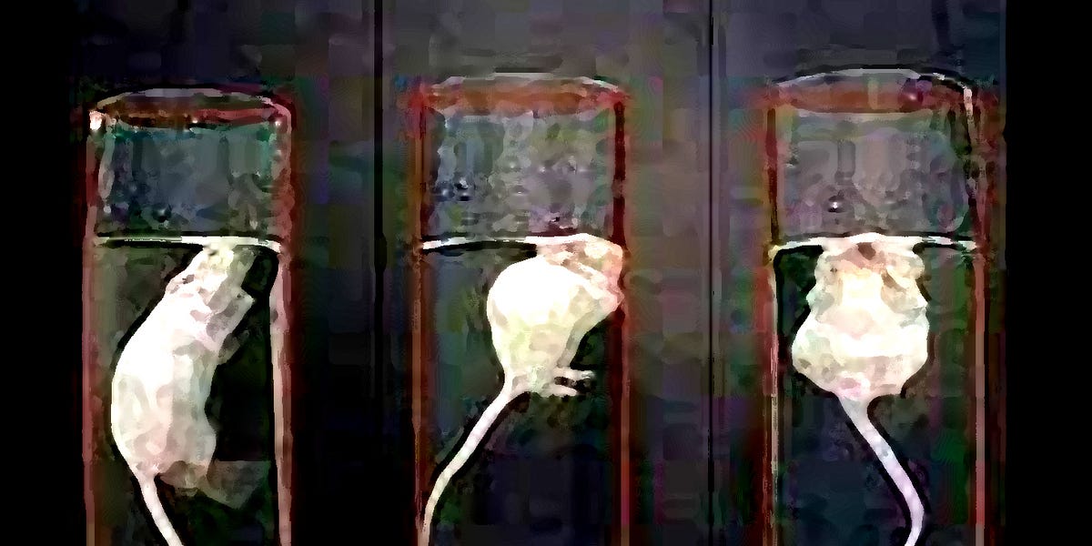 Dr. Richter’s Diabolical Experiment