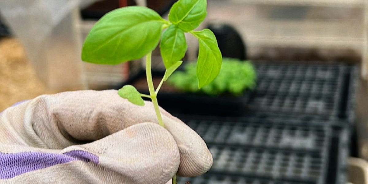 So Down to Earth 🌎 - by Chrissy Michelle - Equal Parts