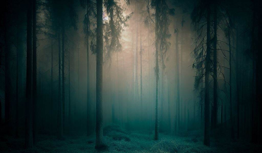 ECHOES - ZB Malott’s Horror Book Substack