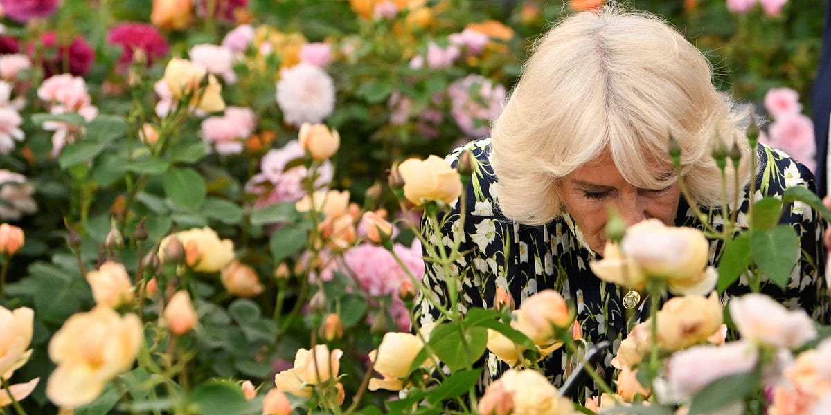 Royal Diary: What's coming up this week