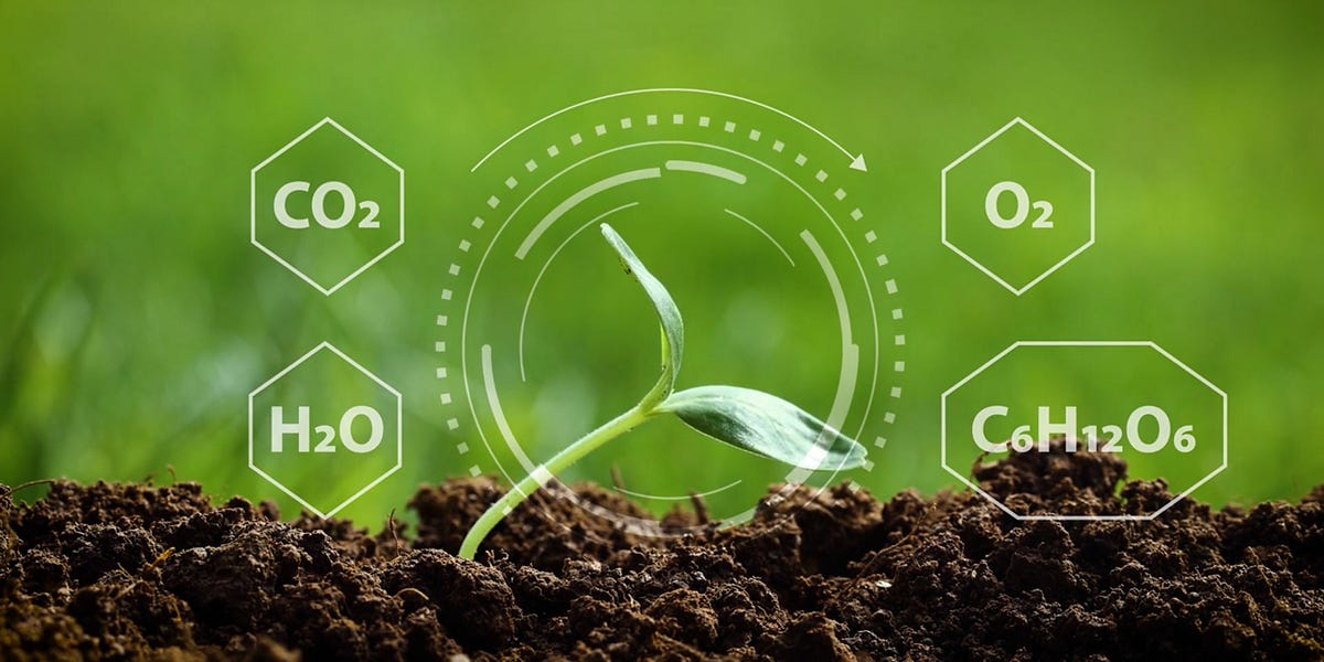 Reevaluating the Anthropogenic CO₂-Global Warming Hypothesis