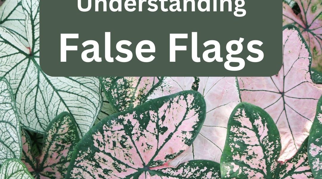 Understanding False Flags - Lies are Unbekoming