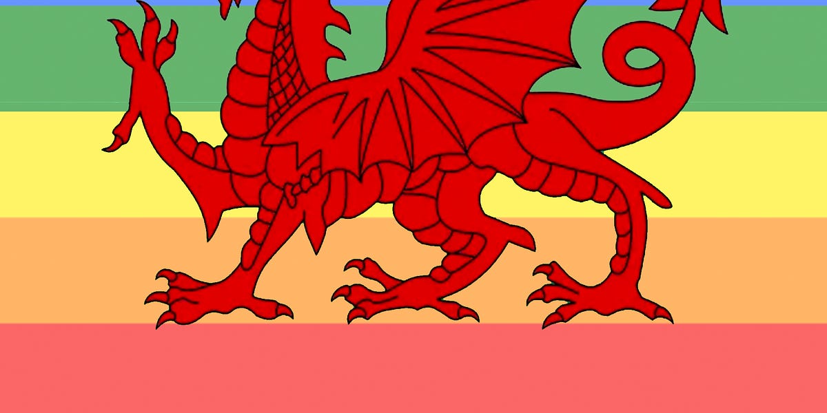 1 in 13 Welsh adults avoided sexual orientation question in Census 2021