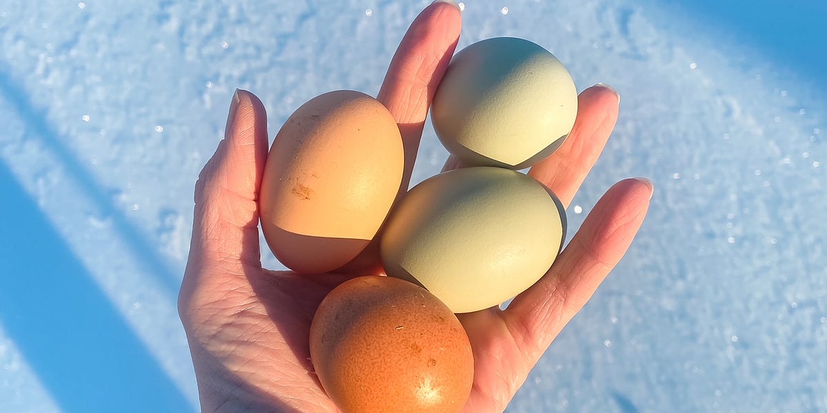 Planting Seeds - by Stacy Bronec - Let Me Overthink This