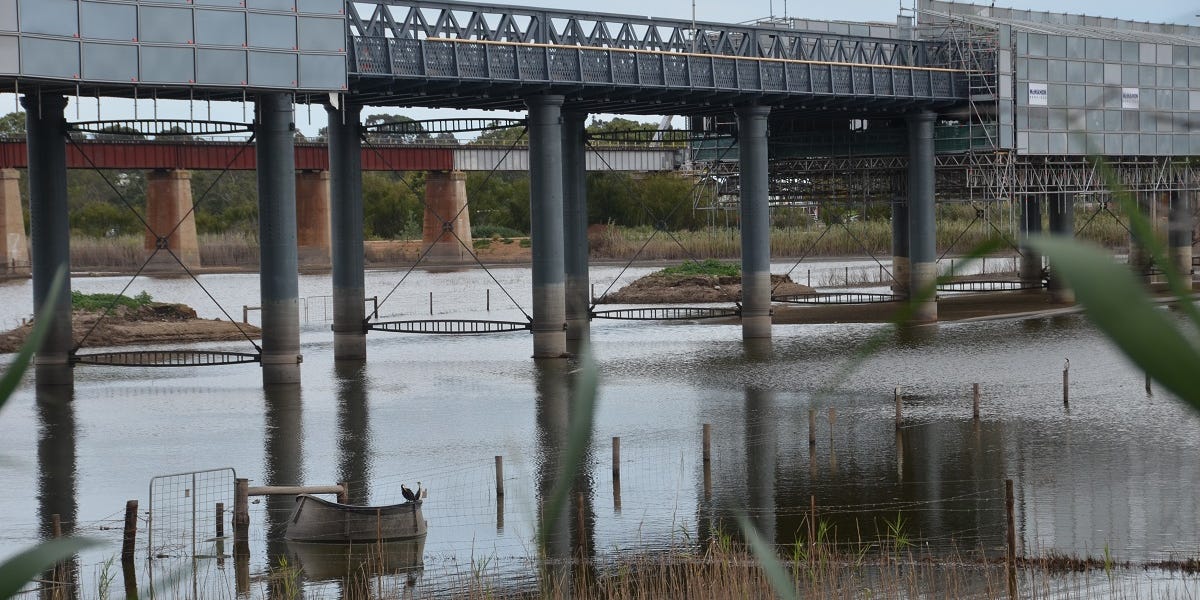 Old Murray Bridge will be closed this Friday