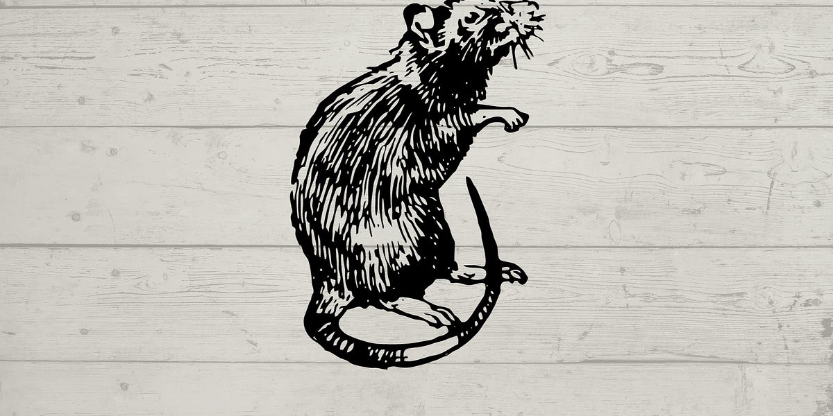 A hot night in a Manchester rat pit - by Dean Kirby