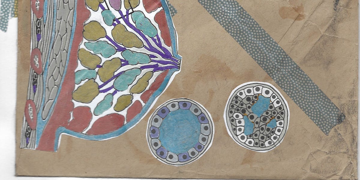 Tiny 4: Breasts & Collages - by Lex Orgera - Yard Dragon