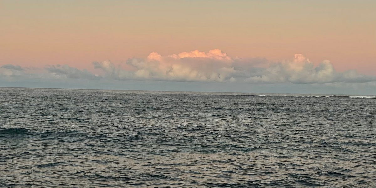 AIWH #20 - by Julia Mercer - As It Would Happen