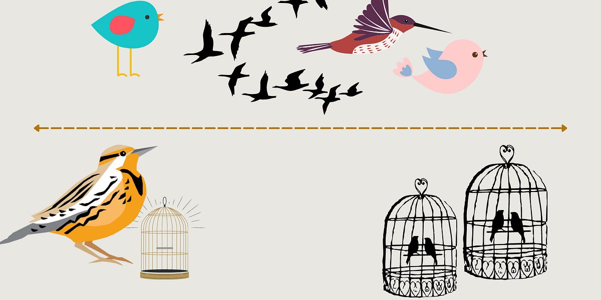 Free Birds, Bird Catchers & Caged Birds