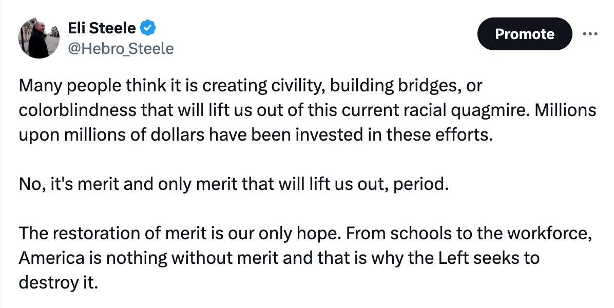 Merit is America - Man of Steele’s Substack