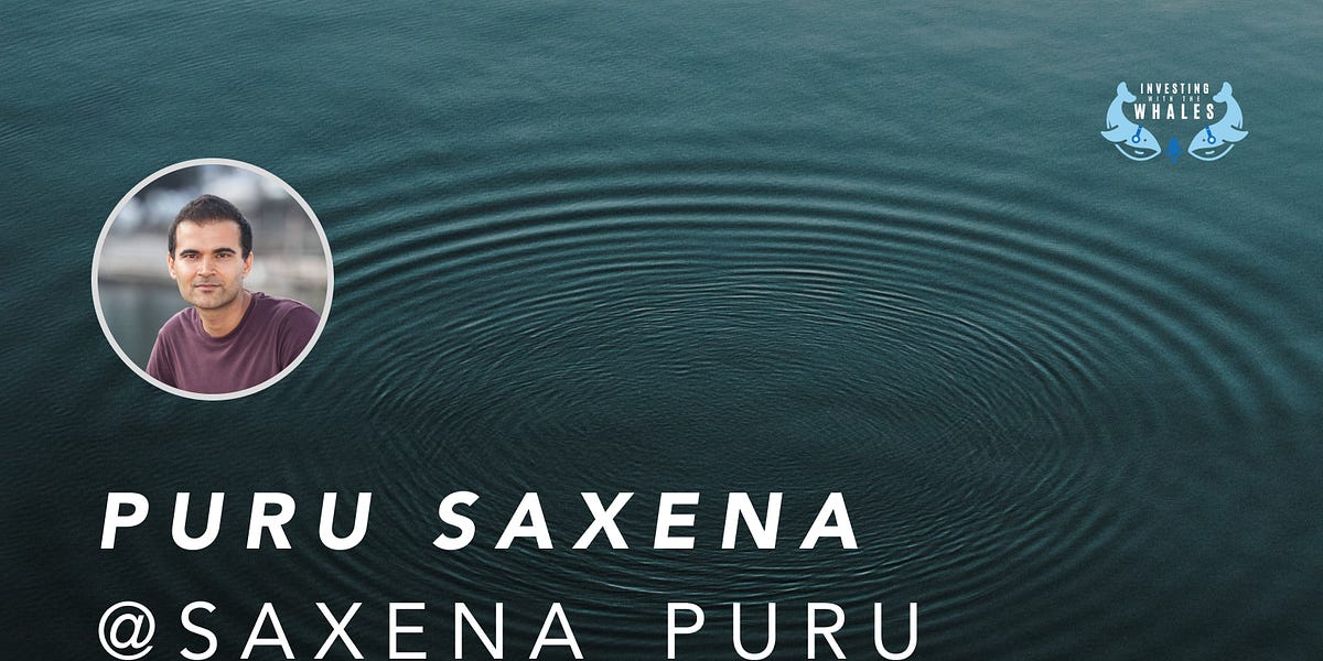 Investing With The Whales | Episode 29 | Interview with Puru Saxena