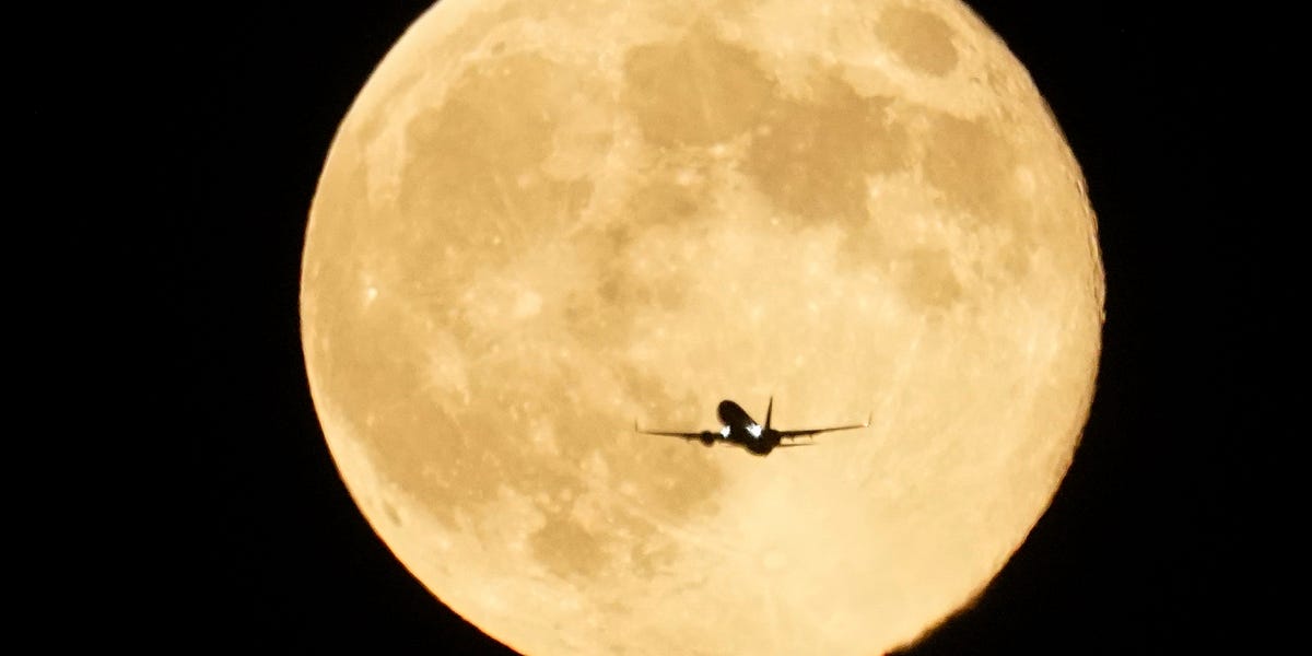 Sunshine Corner 11/2024 - Sara's Fun Facts