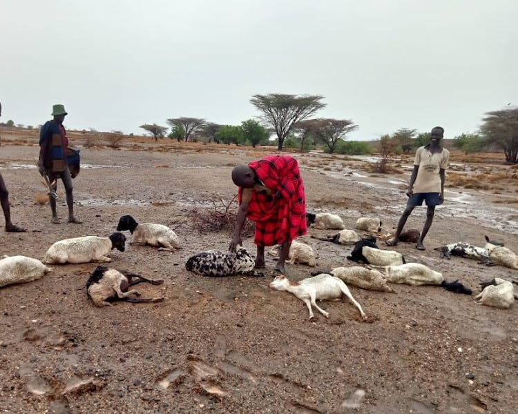 RAIN CAUSES MORE DROUGHTS IN KENYA - Amendrips Newsletter
