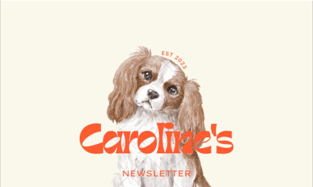 Welcome! - Caroline’s Newsletter