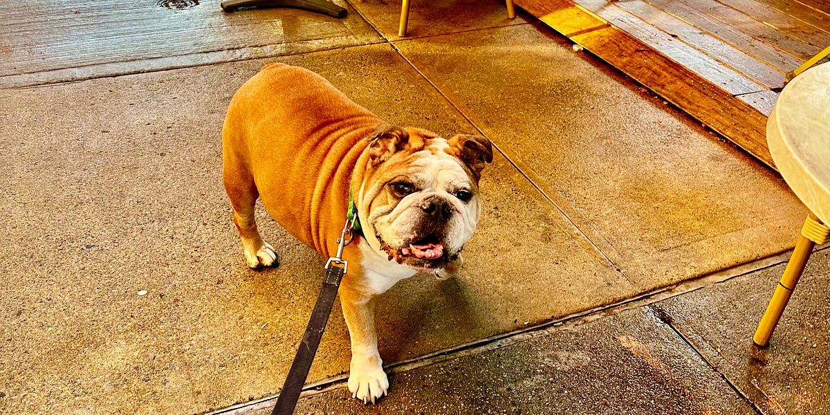 The magic hour - Katrina’s Substack