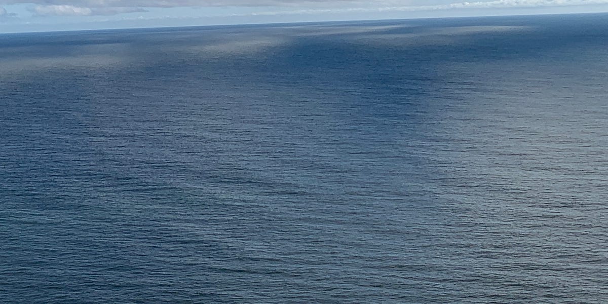 An Oceanic Announcement - by Lila Danielle