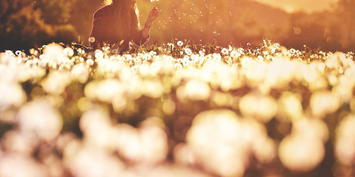 Your Rewilding Practice for Early June